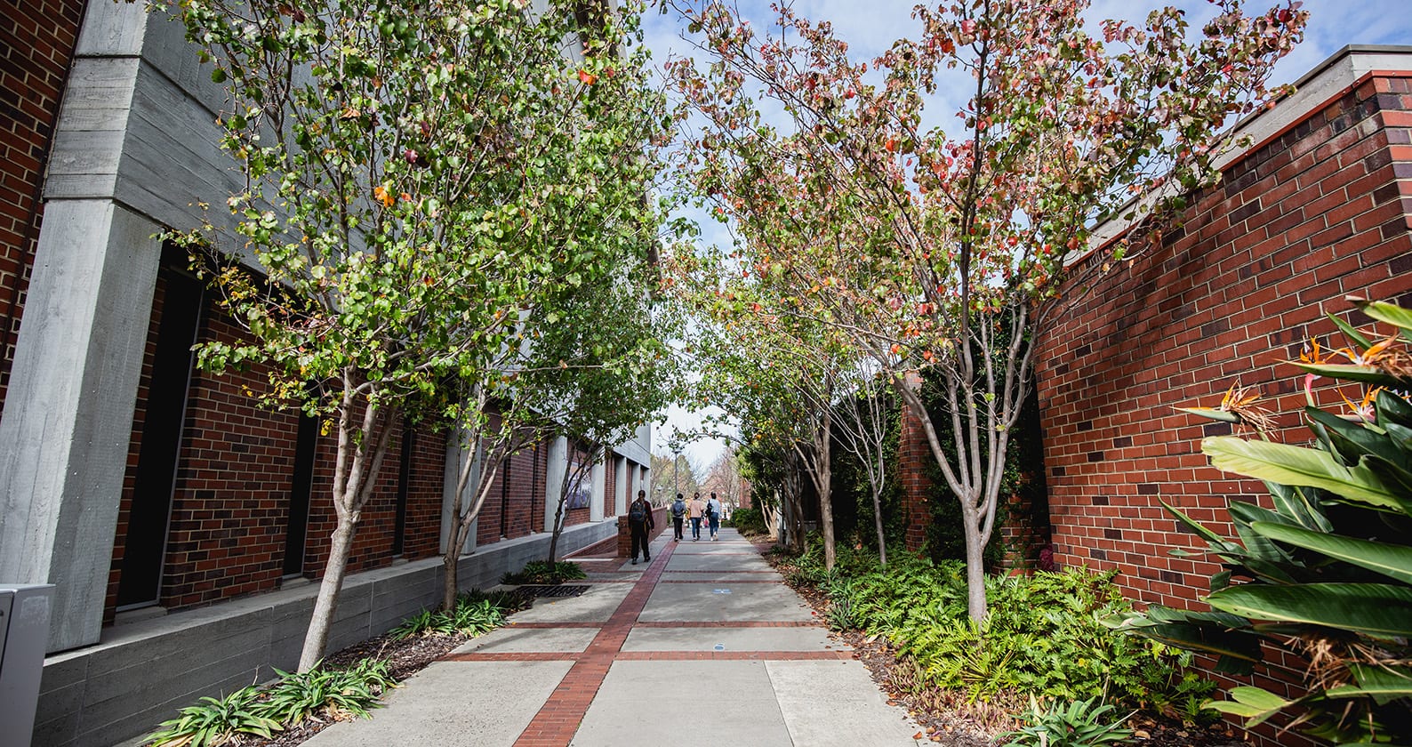 New rankings place 23 Curtin subjects in Australia’s top 10 | Curtin ...