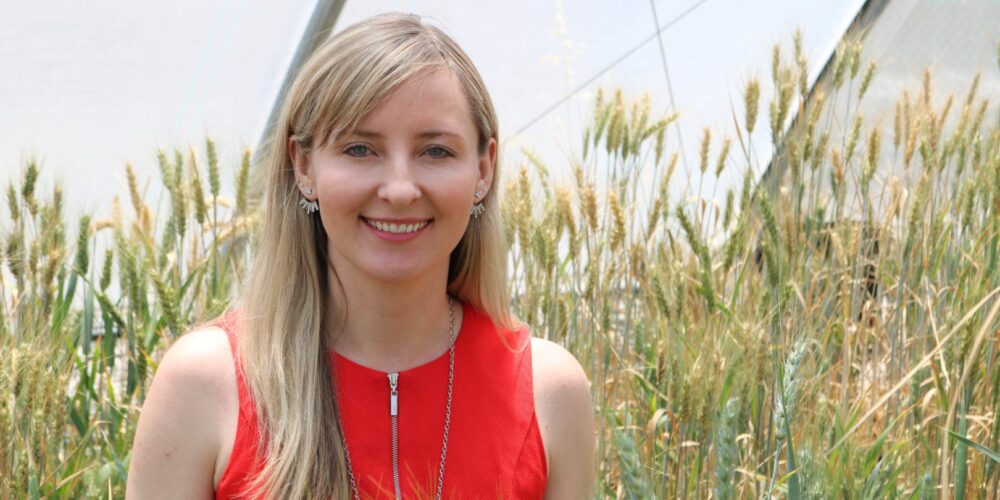 Curtin researchers named national role models for women in STEM ...