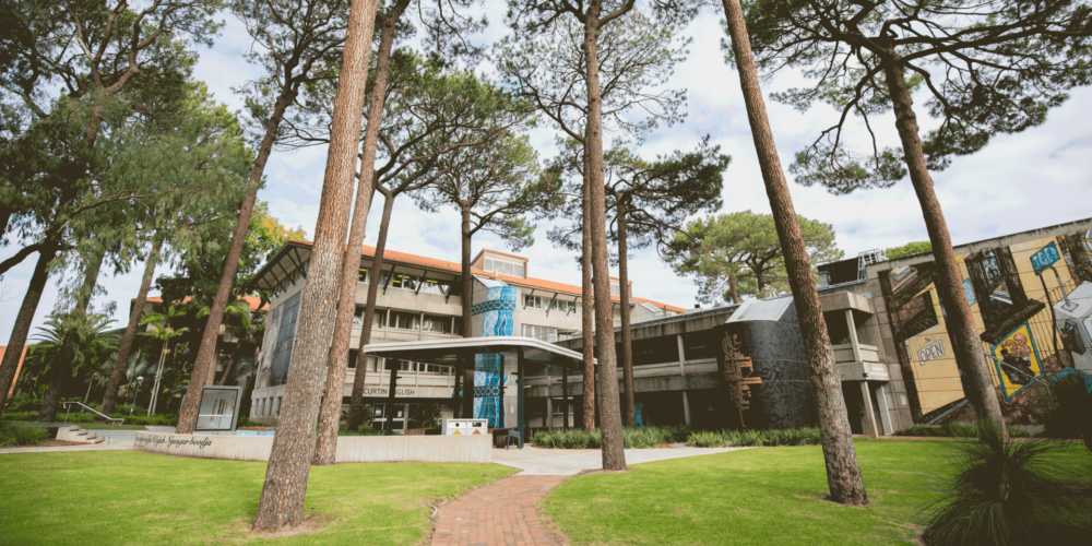 Internship experience invaluable for nationally lauded commerce grad ...