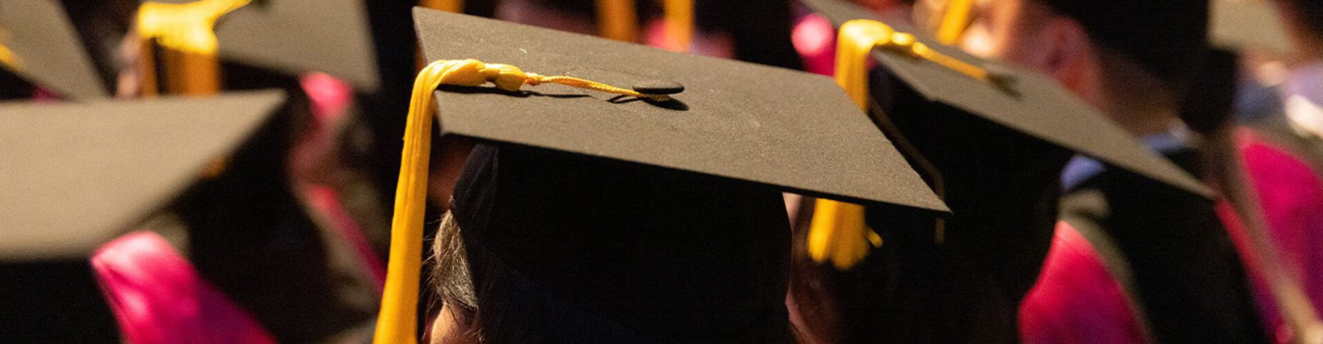 Curtin graduates rated the best employees in Australia - Research ...